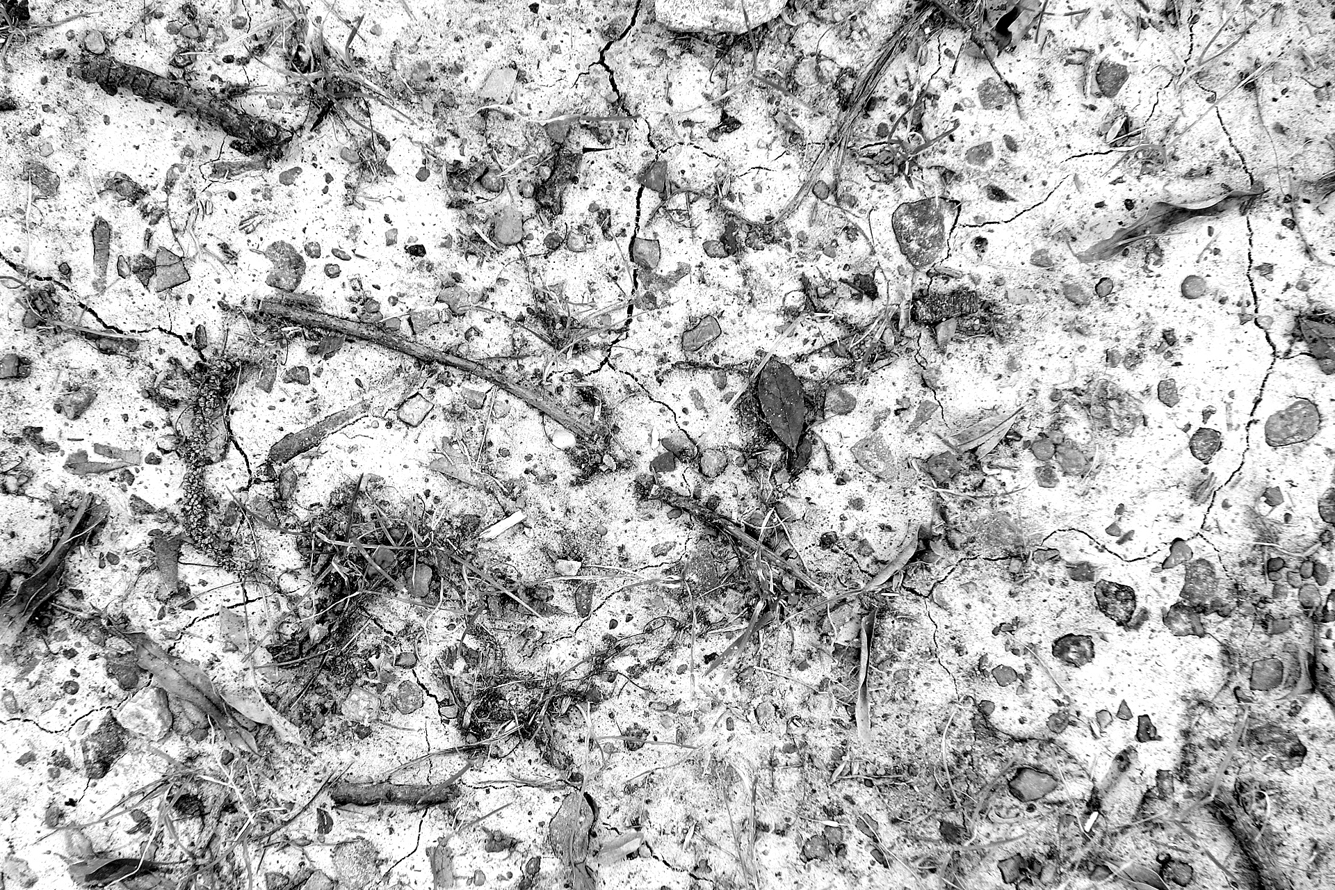 Half-week homework: Texture – Mike's Camera Blog