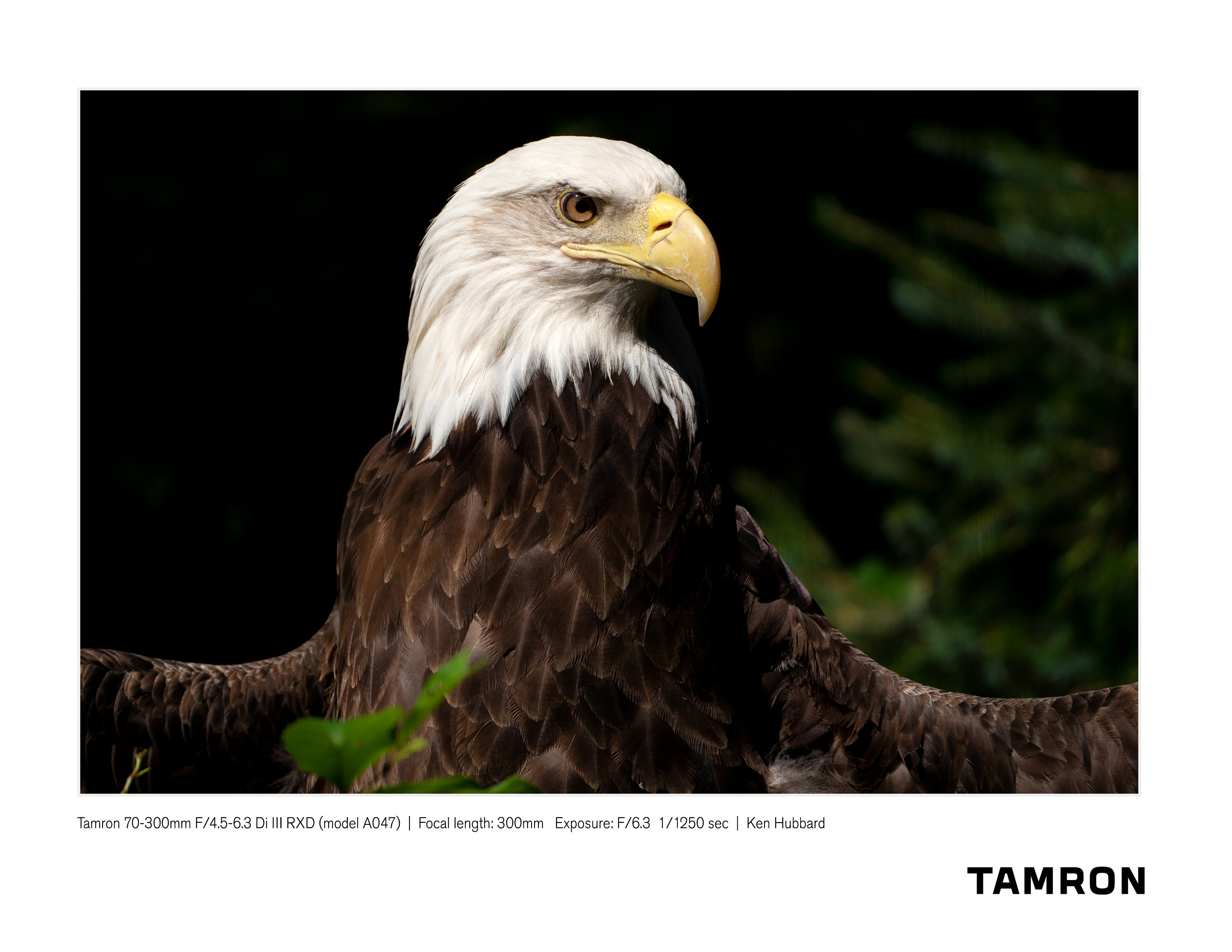 sample image 8_Ken Hubbard_A047 – Mike's Camera Blog