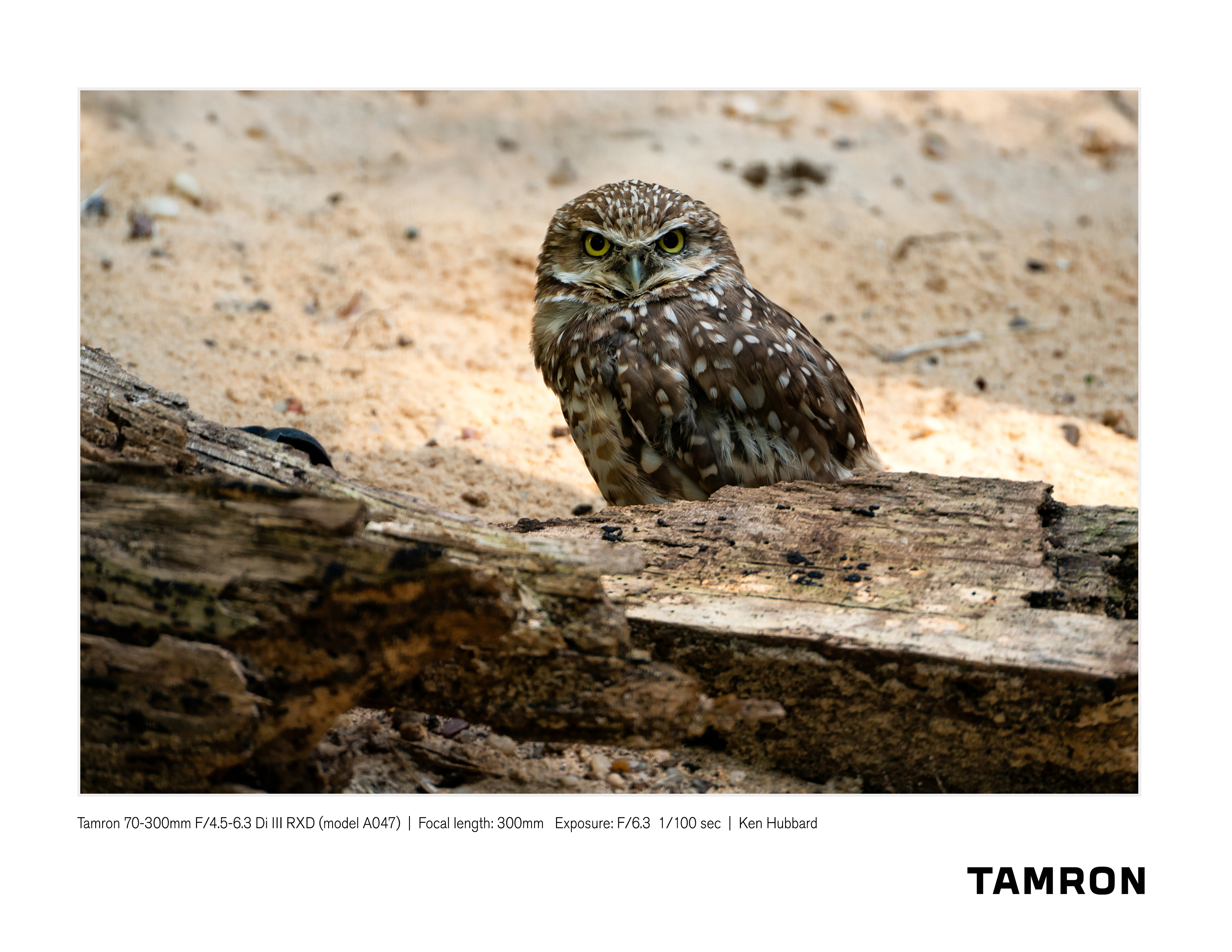 sample image 9_Ken Hubbard_A047 – Mike's Camera Blog